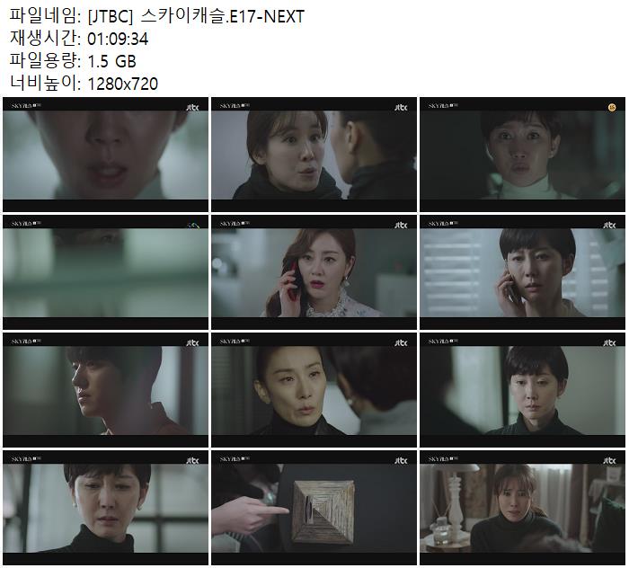 [JTBC] 스카이캐슬.E17-NEXT