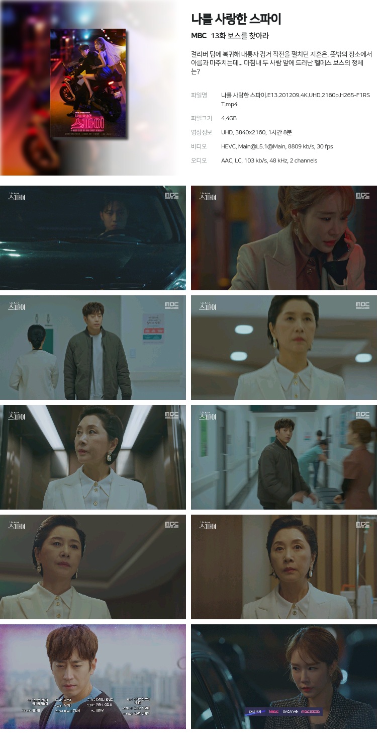 [MBC] 나를 사랑한 스파이.E13.201209.4K.UHD.2160p.H265-F1RST 보스를 찾아라